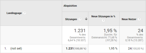 (not set) in Google Analytics: Ursachen und Lösungen